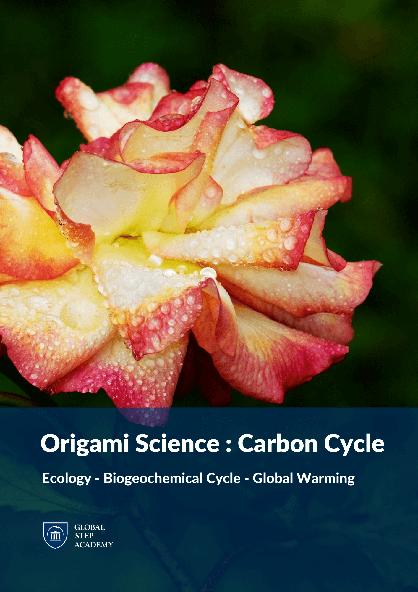 Global Step Academy: We Believe in the Power of Education