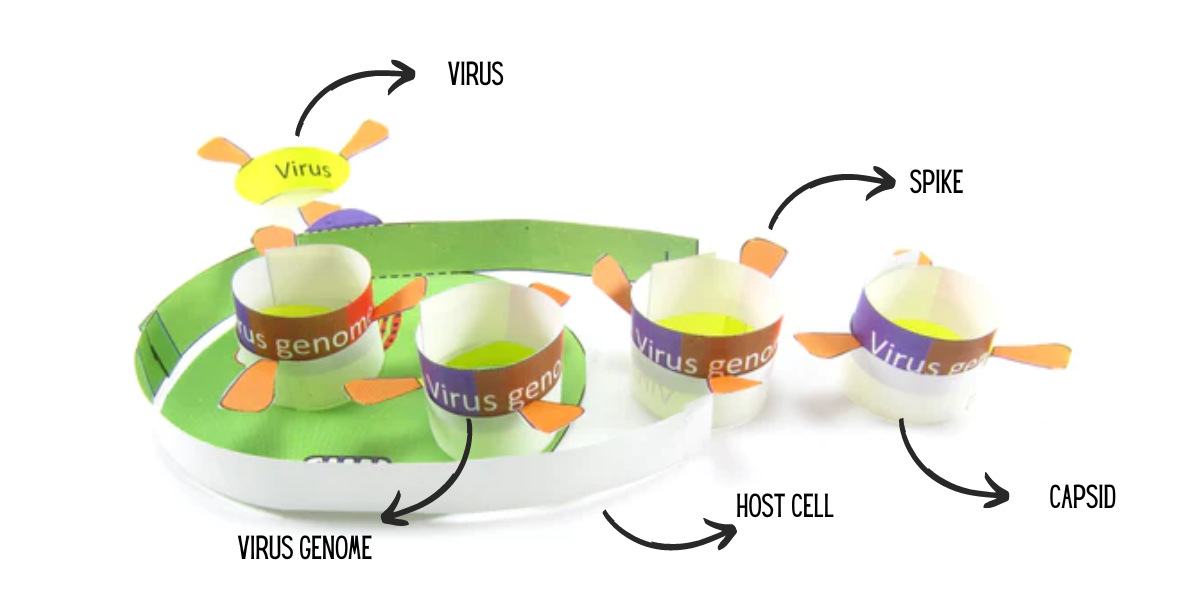 Global Step Academy: We Believe in the Power of Education