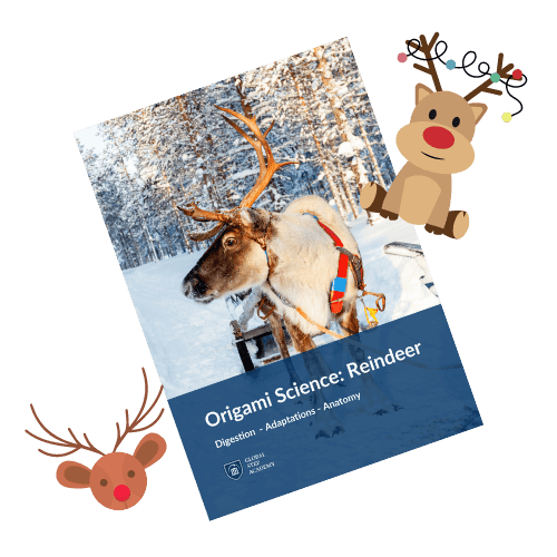 Global Step Academy: We Believe in the Power of Education