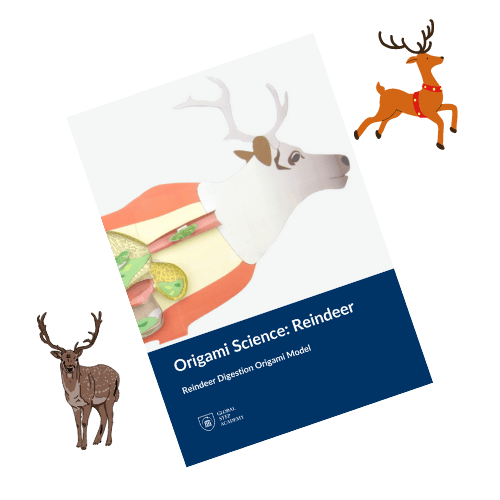 Global Step Academy: We Believe in the Power of Education